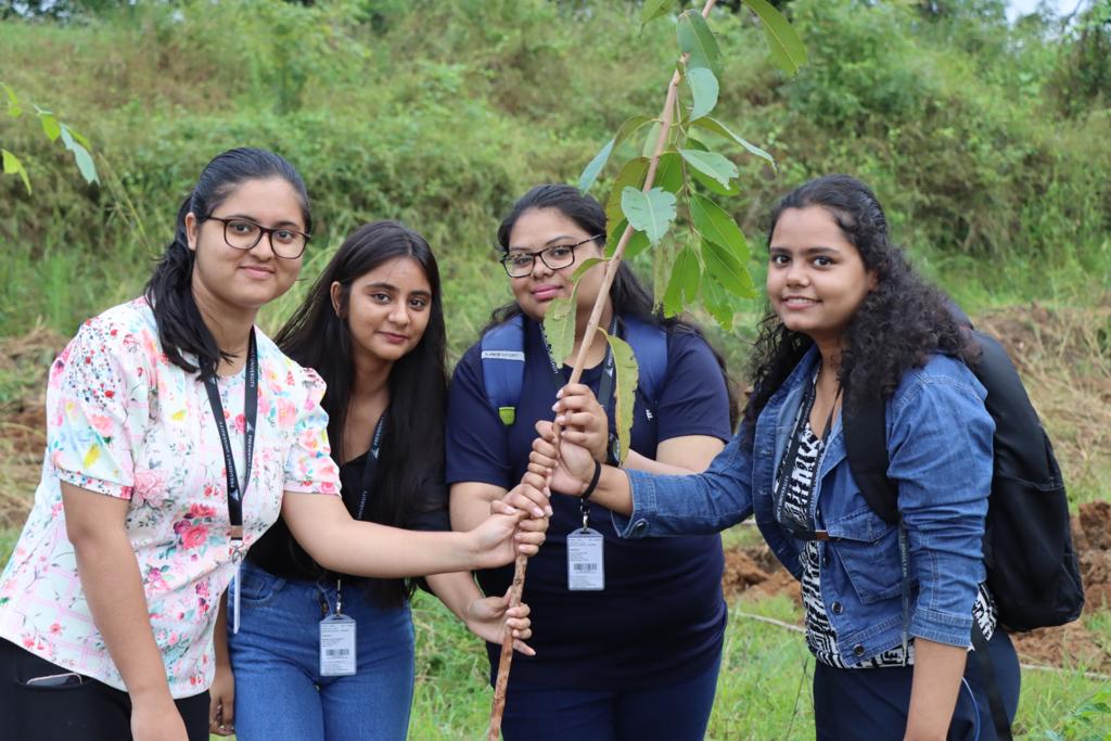 My Tree Project | GREEN CIRCLE